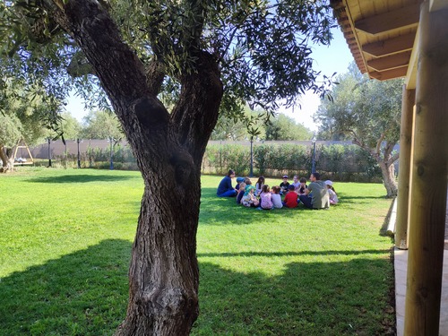 Εκπαιδευτικά προγράμματα στο Πάρκο | Βοτανικό Πάρκο Αττικής